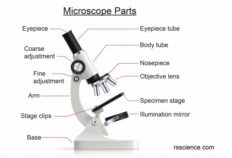 The Beginner's Guide to Microscopy - Rs' Science