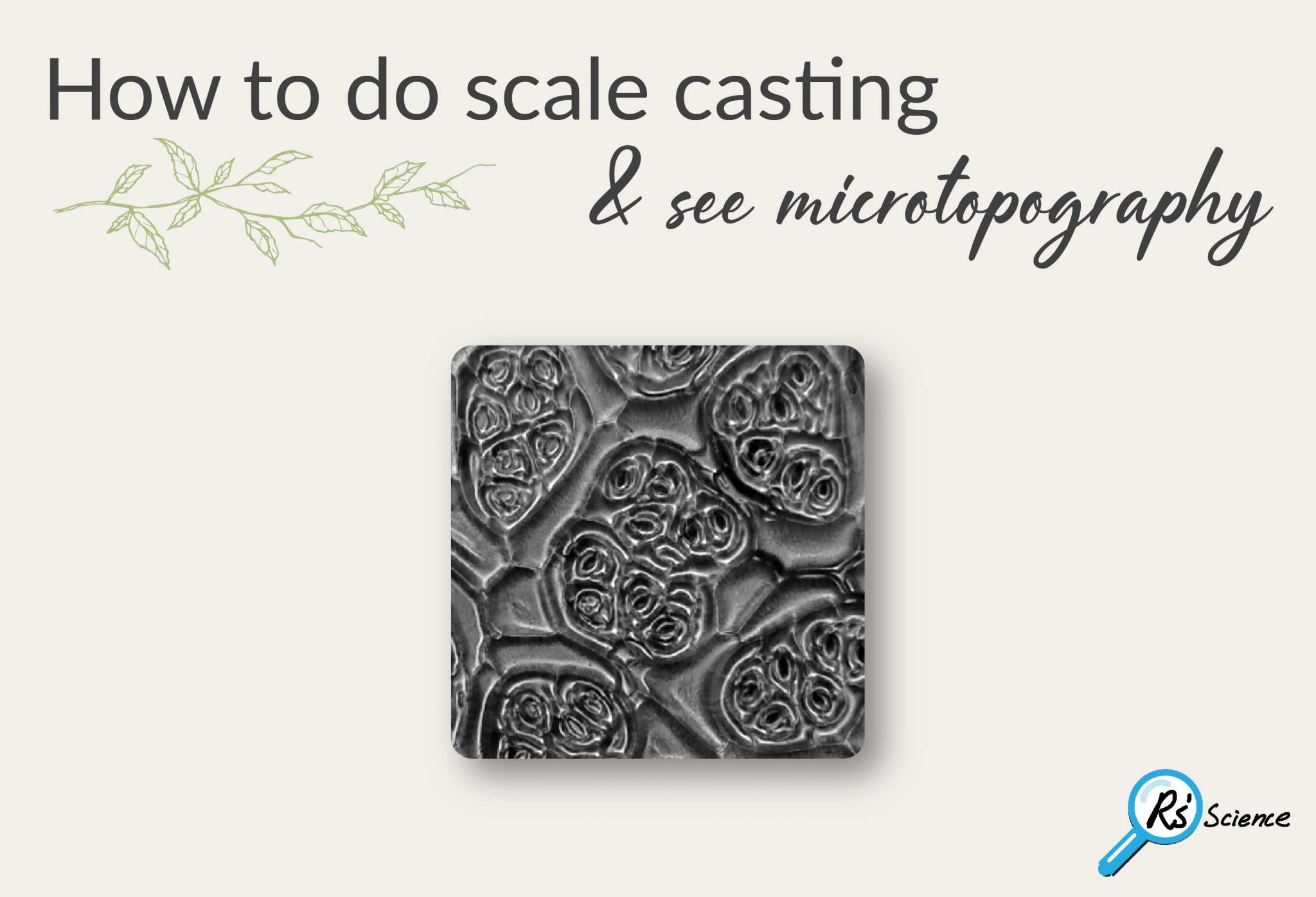 Lesson 5: How to Do Scale Casting with Clear Nail Polish & See ...