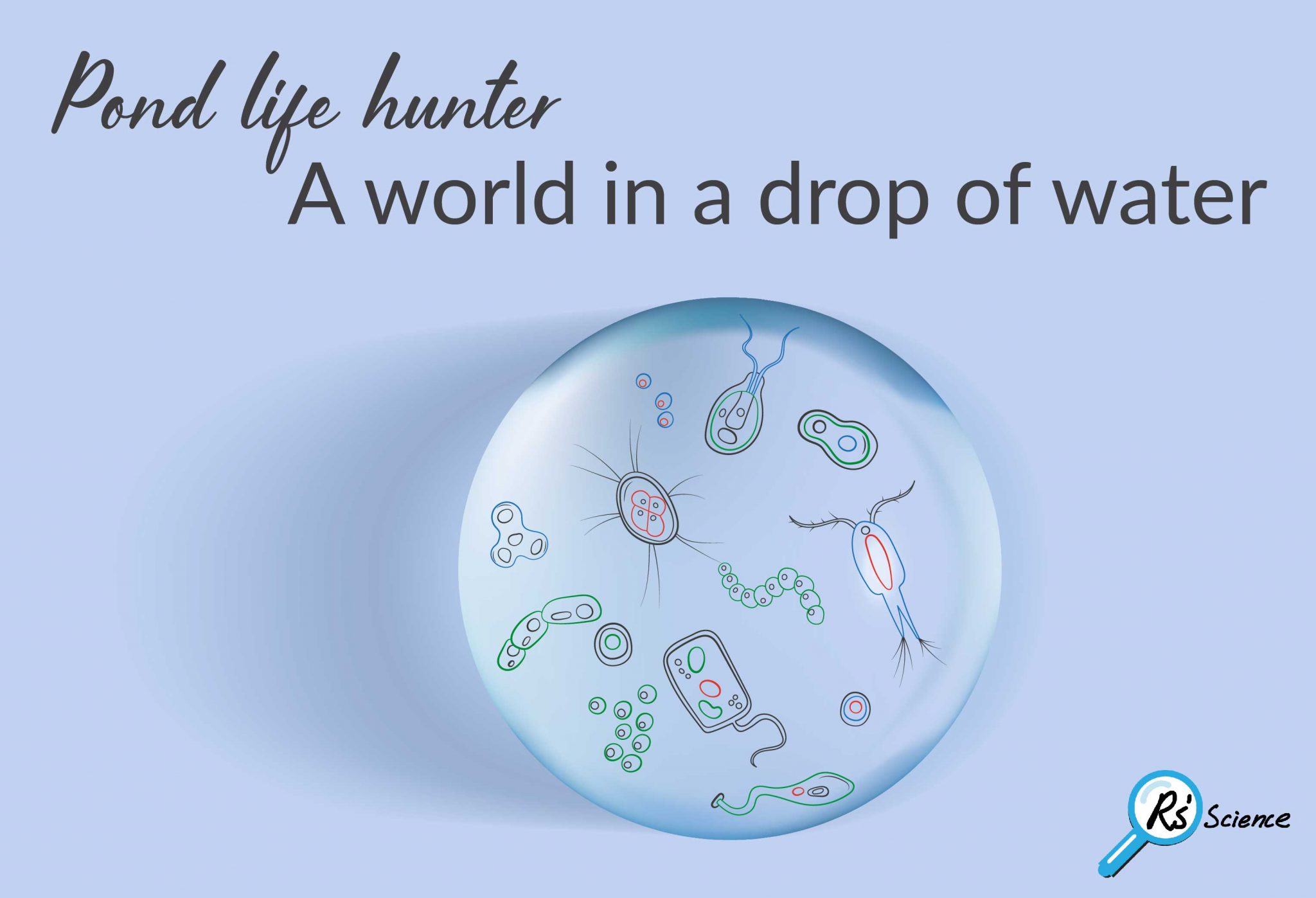 Lesson 6: Pond Life Hunter & “A World in a Drop of Water” - Rs' Science