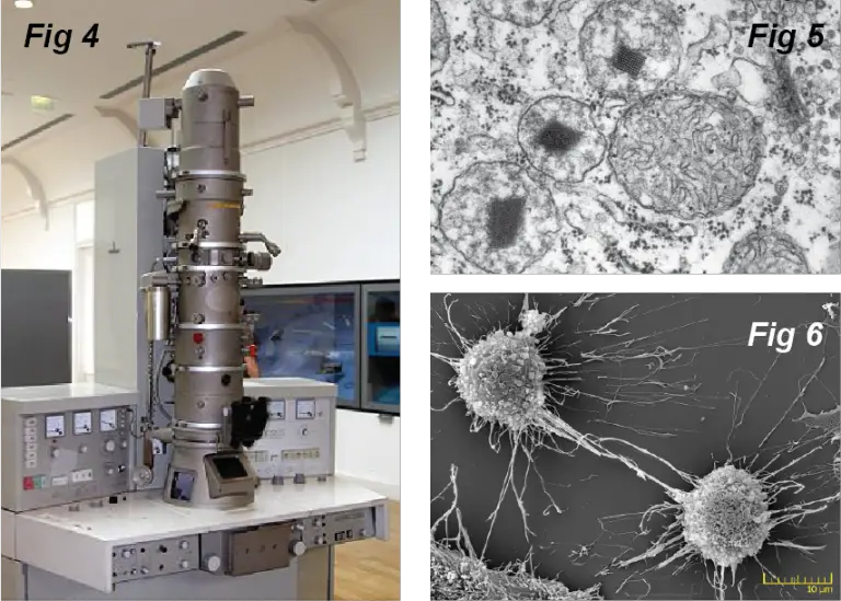 Advanced Microscopy on the Frontier of Science - Rs' Science