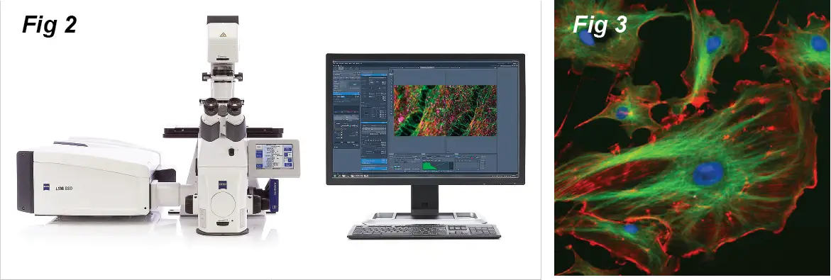 Advanced Microscopy on the Frontier of Science - Rs' Science