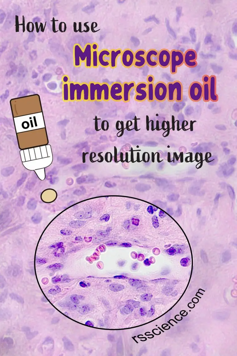 How to Use Microscope Immersion Oil to Get Higher Resolution Images - Rs' Science
