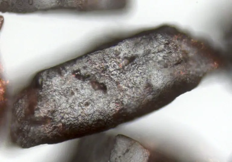 10 Everyday Things You Should Look at Under a Microscope - Rs' Science