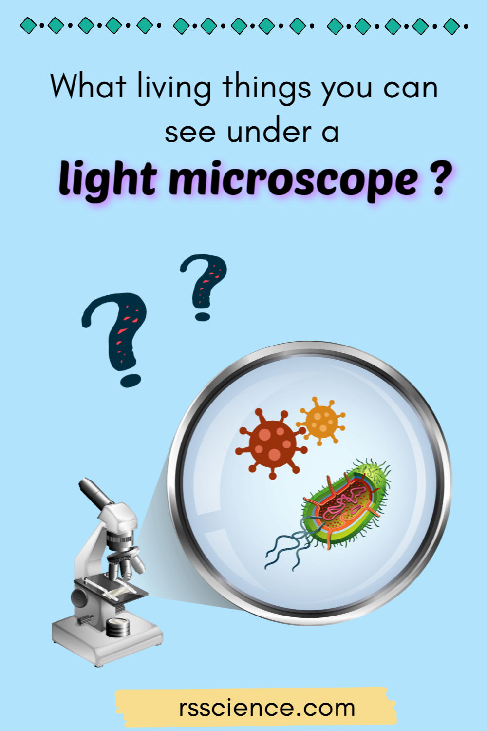 What Living Things You Can See Under a Light Microscope? - Rs' Science
