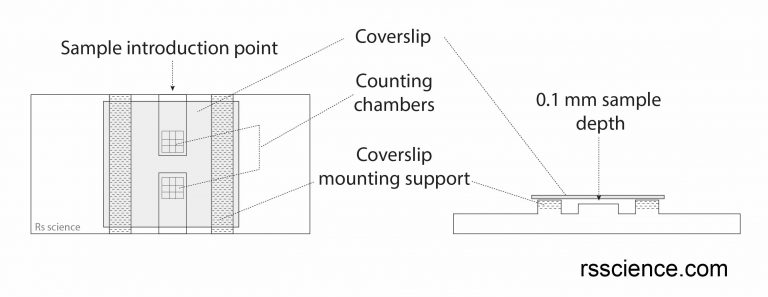 How to Use a Hemocytometer to Count Cells - Rs' Science