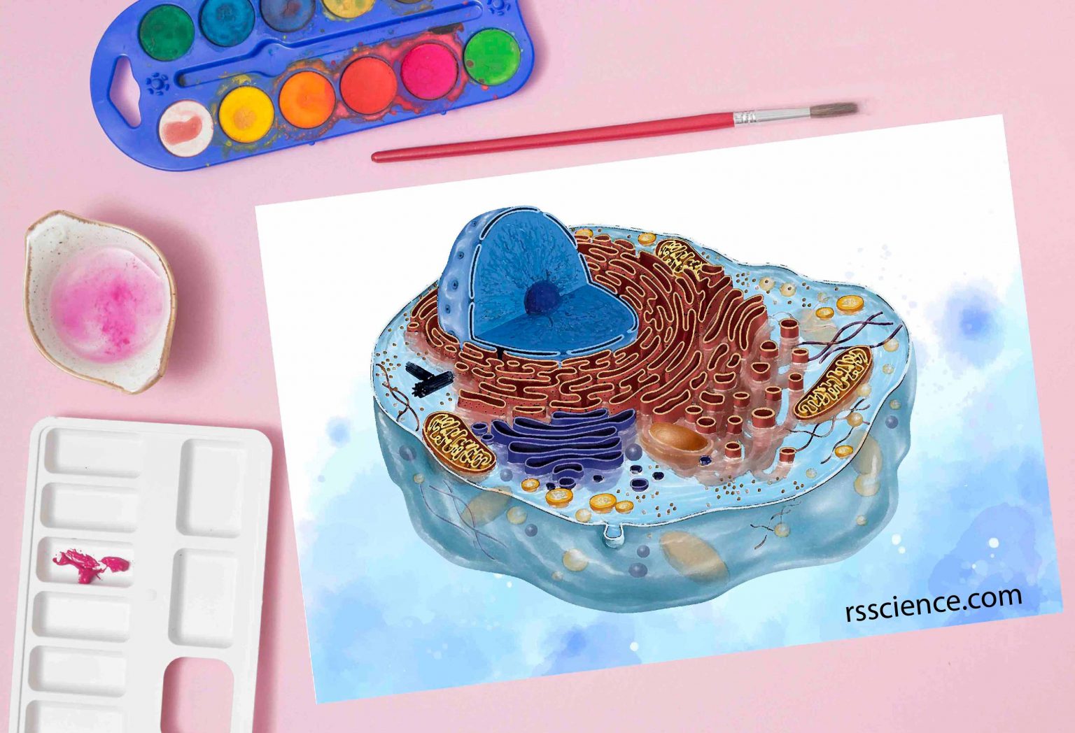 Biological Stains for Microscope You Can Find at Home - Rs' Science