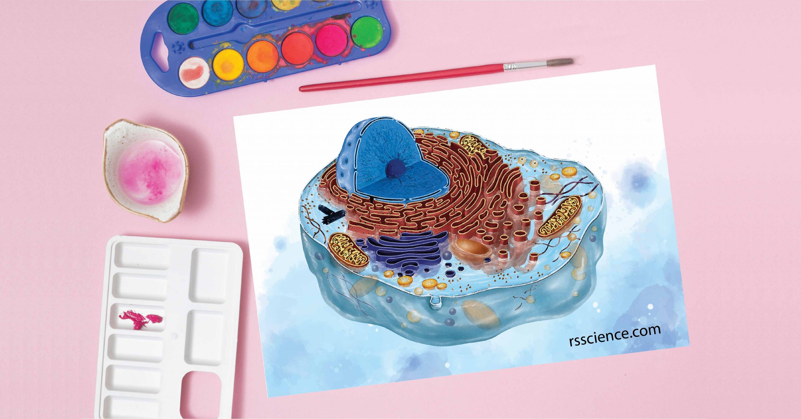 Biological Stains for Microscope You Can Find at Home - Rs' Science