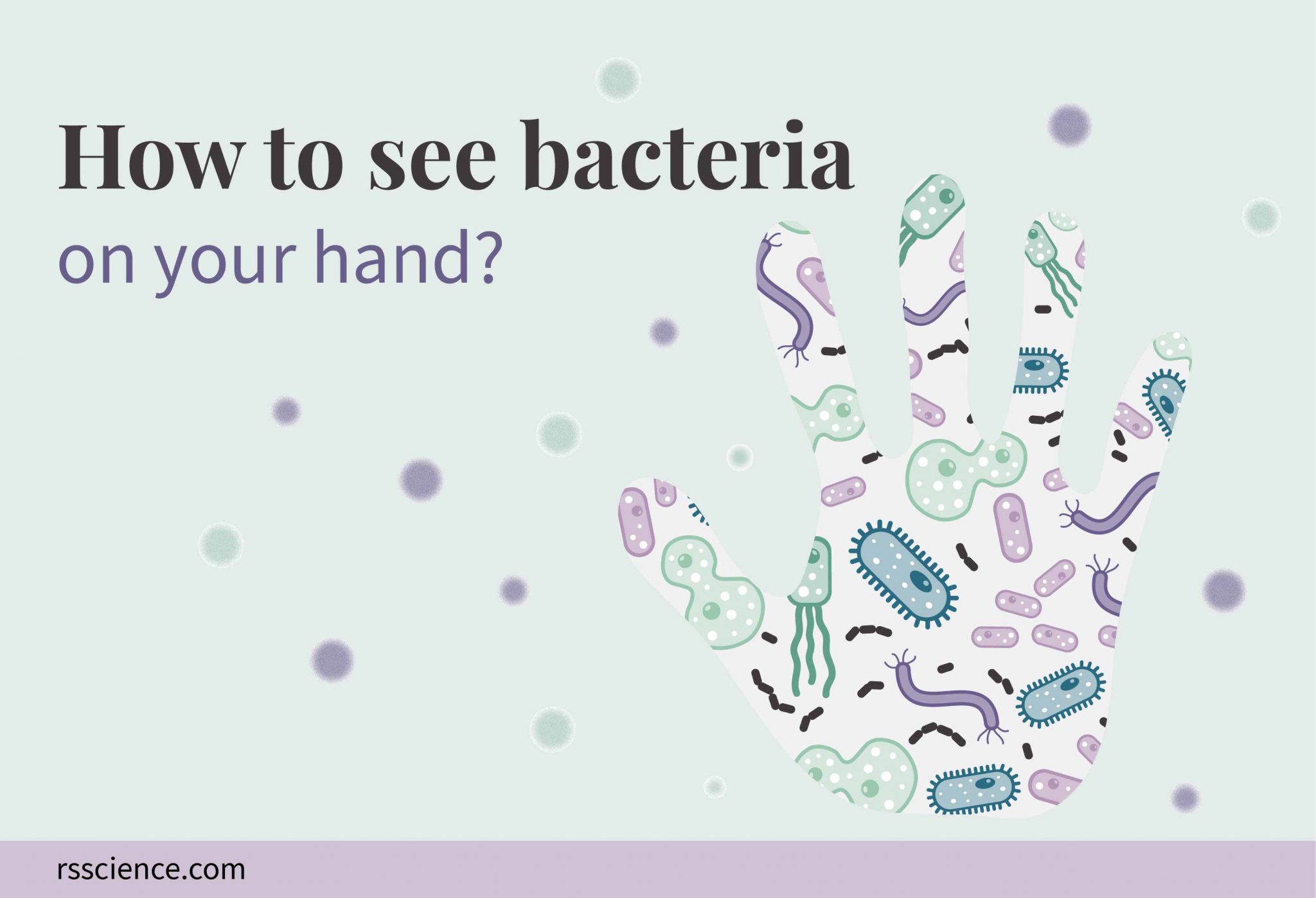 How to See Bacteria on Your Hand (Bacteria Handprint) - Rs' Science