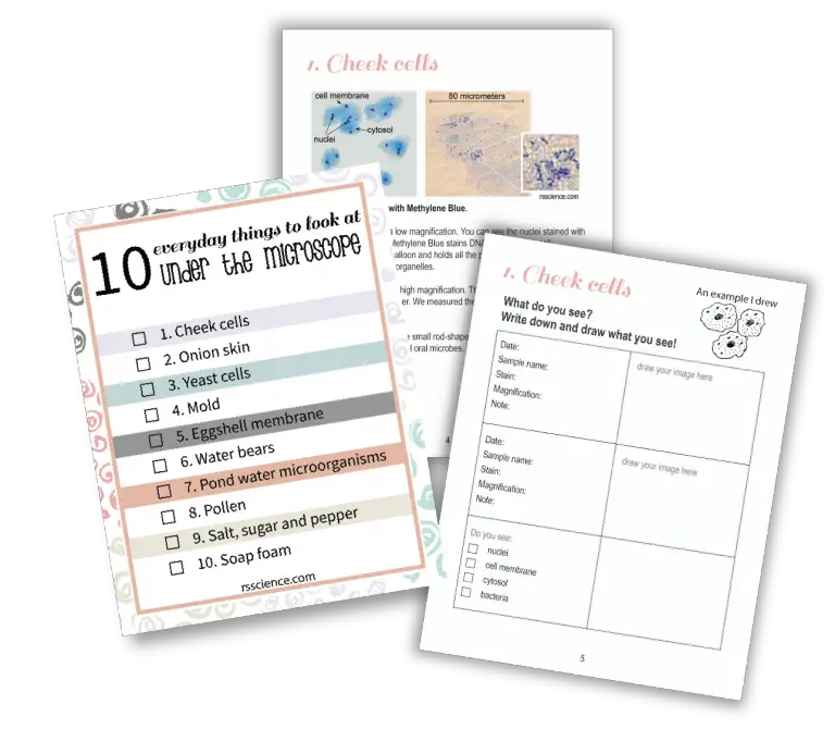 Rs' Science - microscope activities and resource