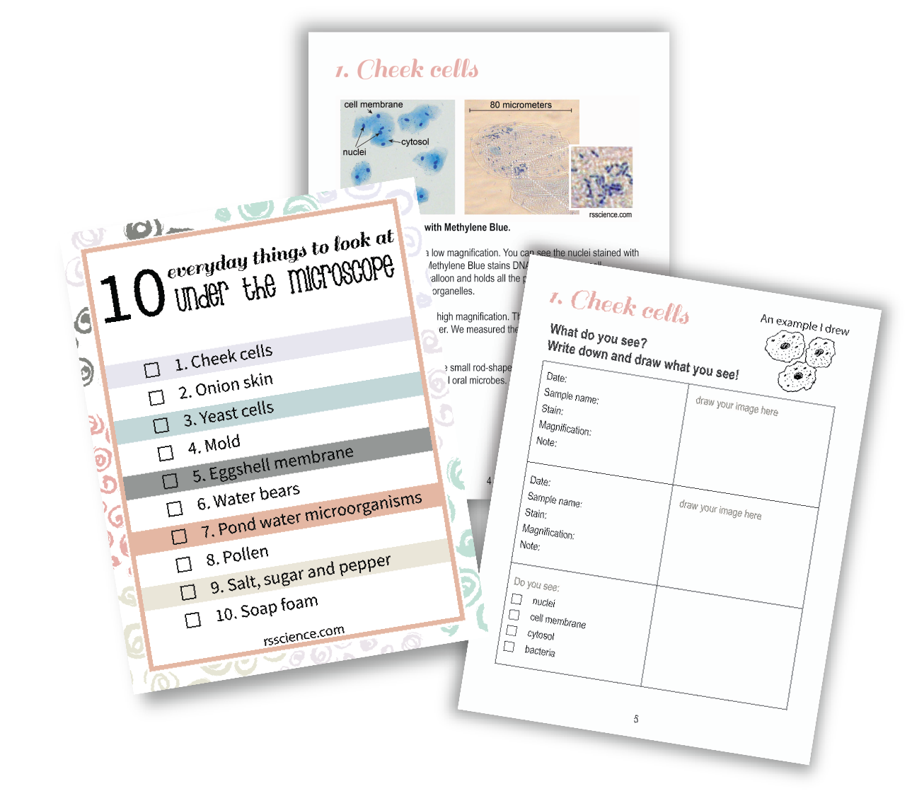 Rs' Science - microscope activities and resource