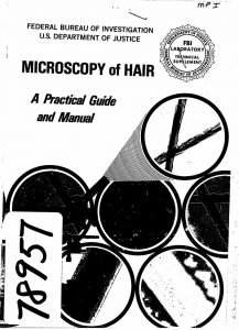 Hair Under a Microscope - Rs' Science