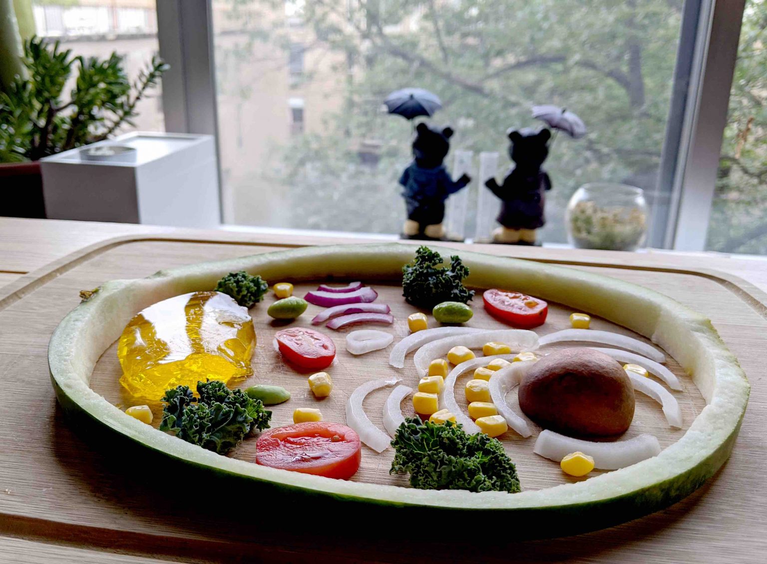 Cell Biology on the Dining Table – Plant Cell Model - Rs' Science