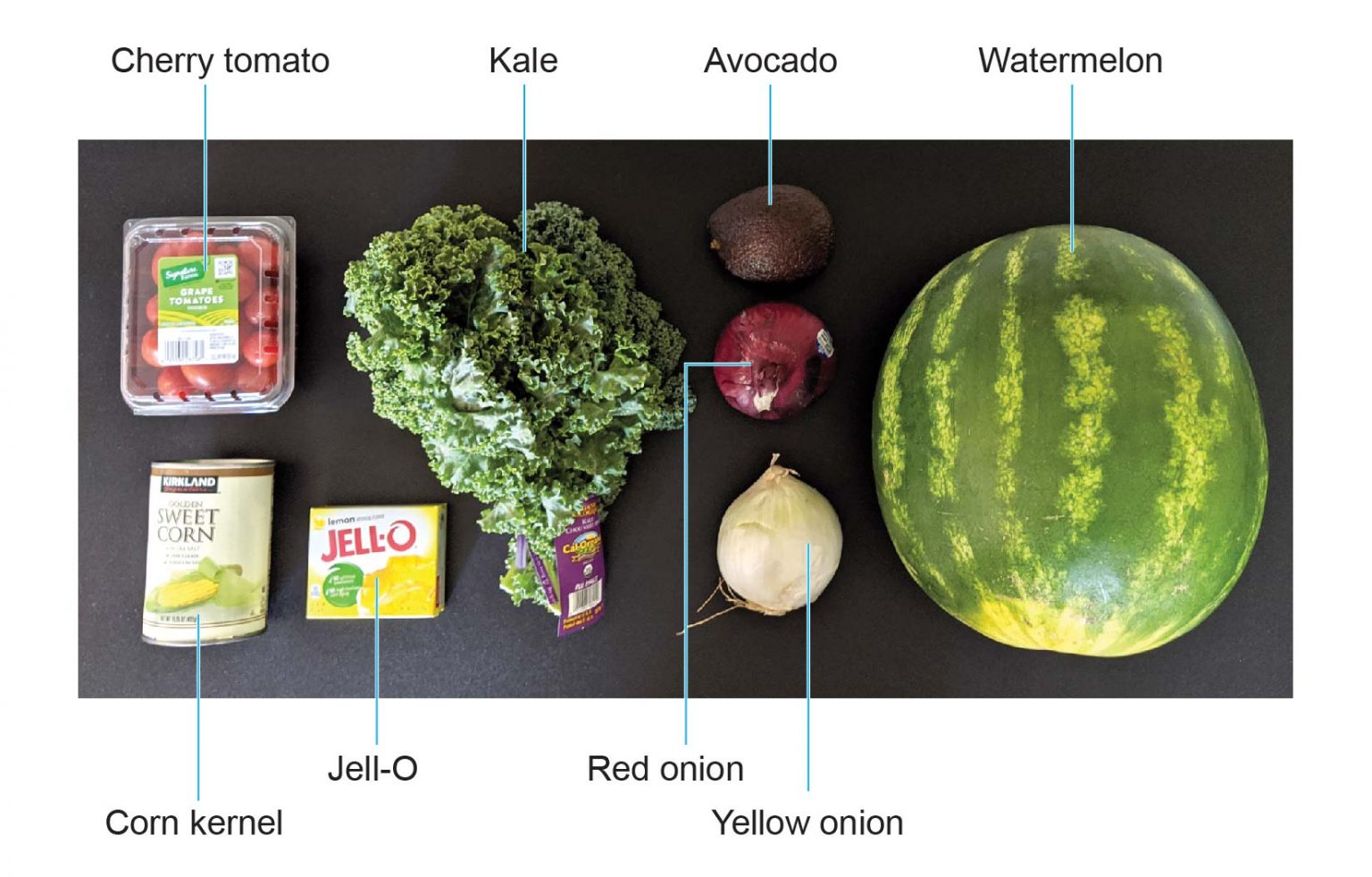 Cell Biology on the Dining Table – Plant Cell Model - Rs' Science