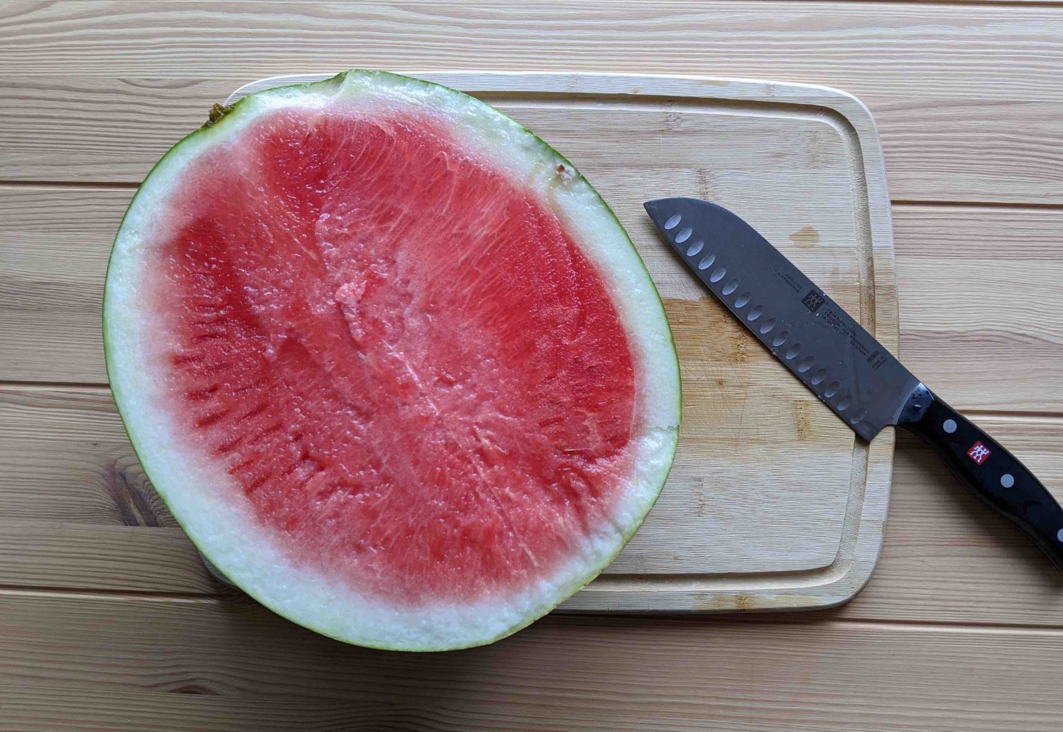 Cell Biology on the Dining Table – Plant Cell Model - Rs' Science