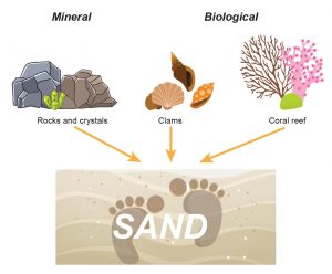 Sand Under a Microscope - Rs' Science