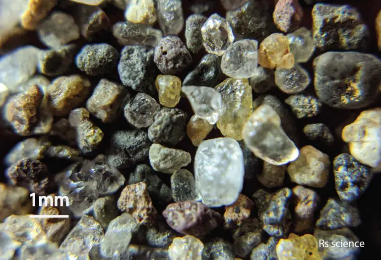 Sand Under a Microscope - Rs' Science