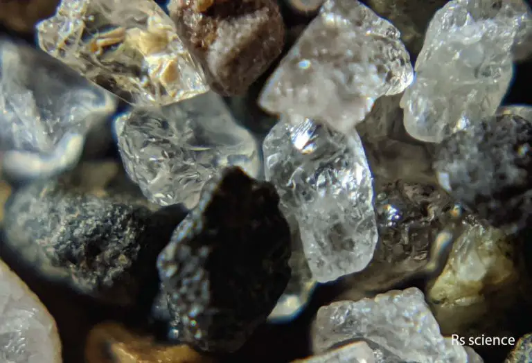Sand Under a Microscope - Rs' Science