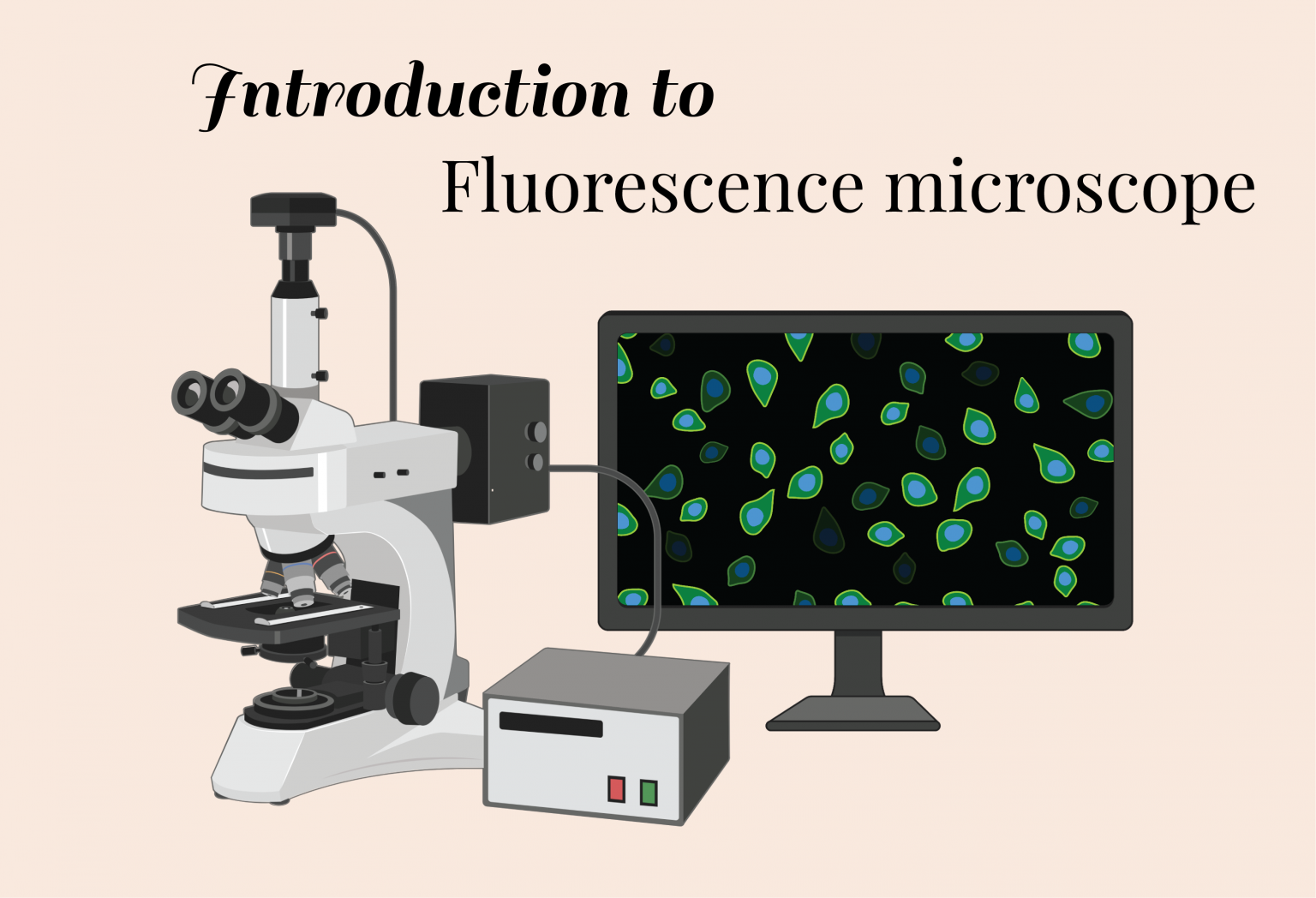 Fluorescence Microscope - Rs' Science