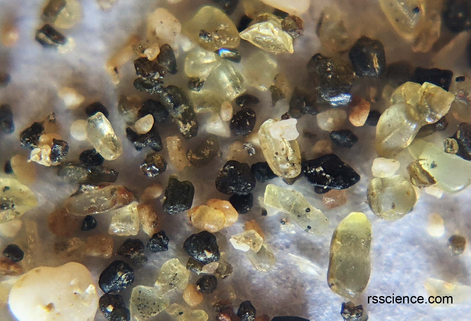 Sand Under a Microscope - Rs' Science