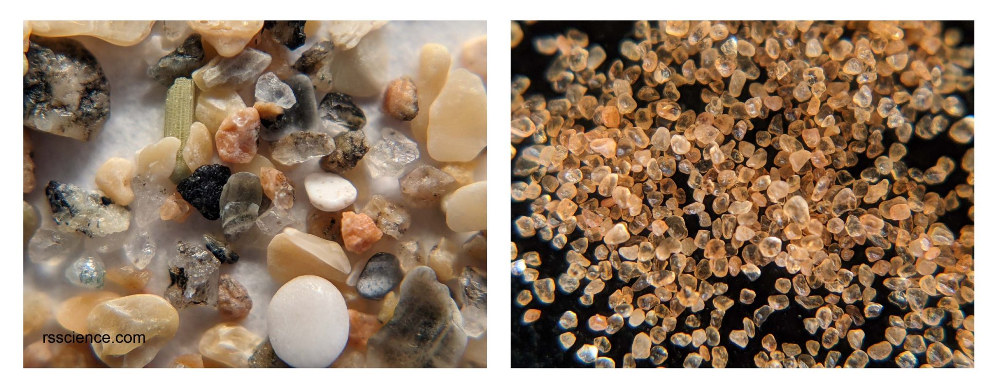 Sand Under a Microscope - Rs' Science
