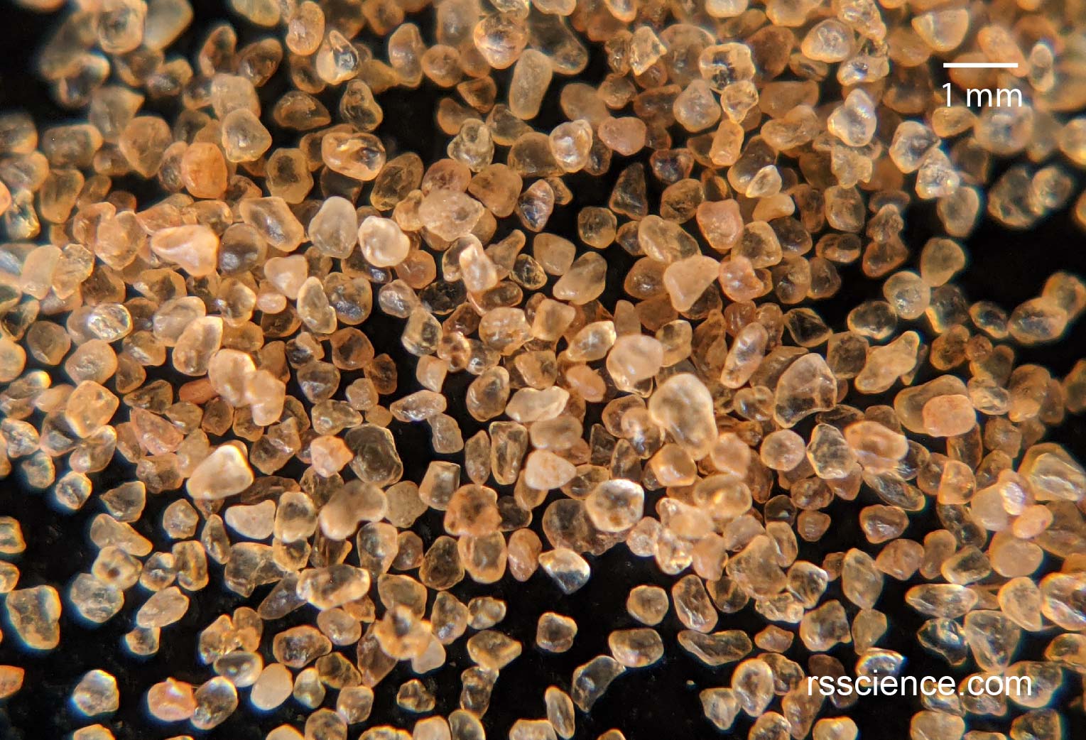 Sand Under a Microscope - Rs' Science