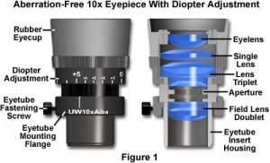 Compound Microscope Parts – Labeled Diagram and their Functions - Rs ...