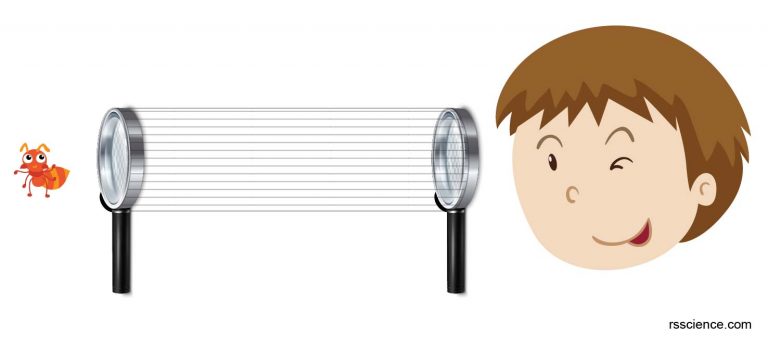 What Is A Microscope Function And Magnification Rs Science