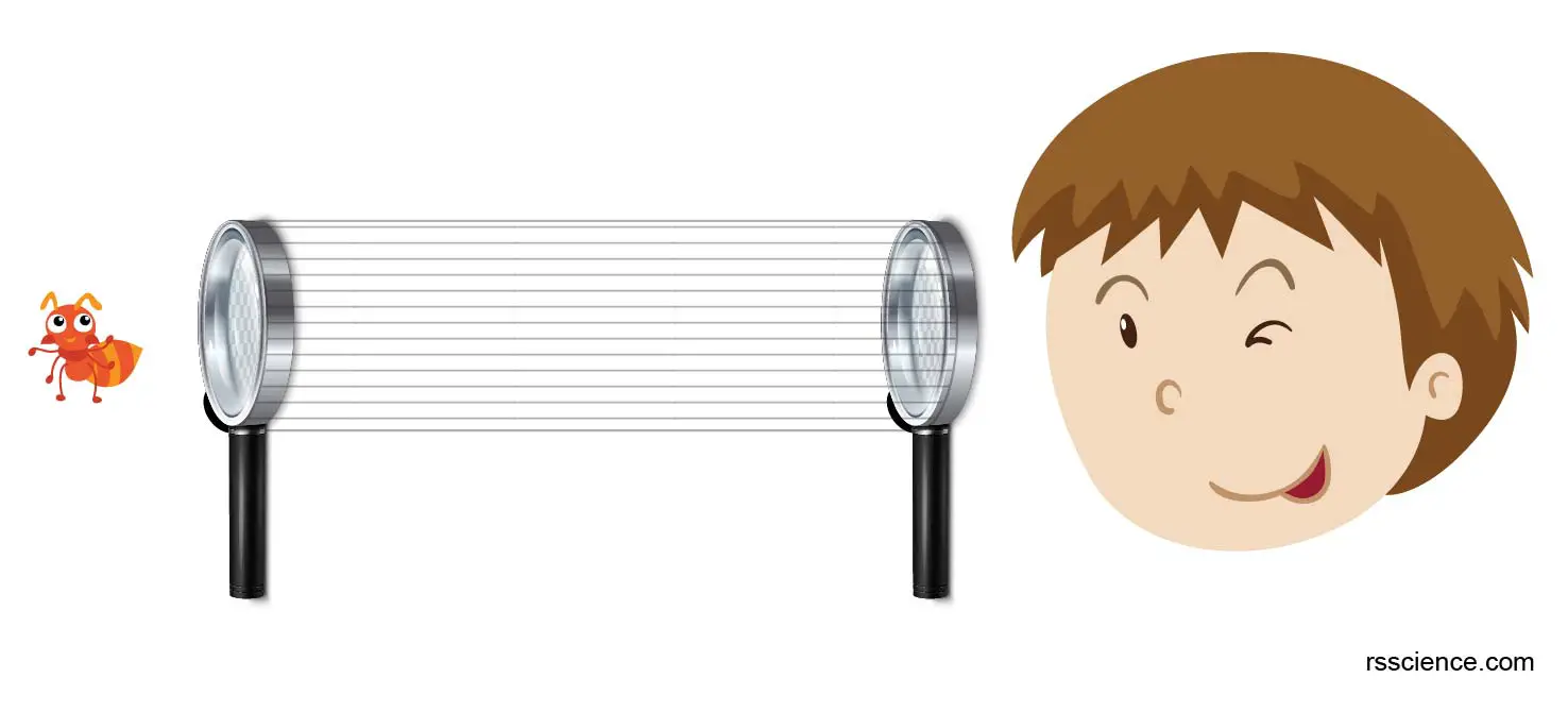 What is a Microscope? Function and Magnification - Rs' Science