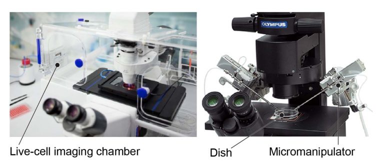 Different types of Microscopes – light microscope, electron microscope ...