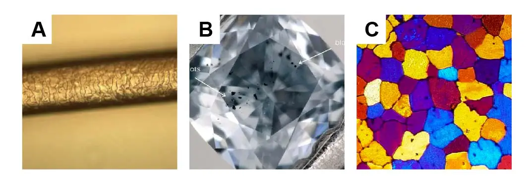 What is a Microscope? Function and Magnification - Rs' Science