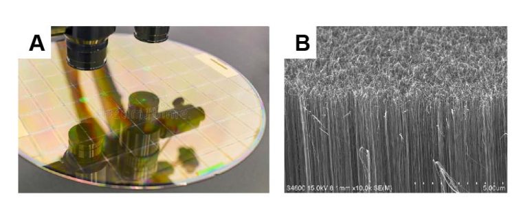 What is a Microscope? Function and Magnification - Rs' Science