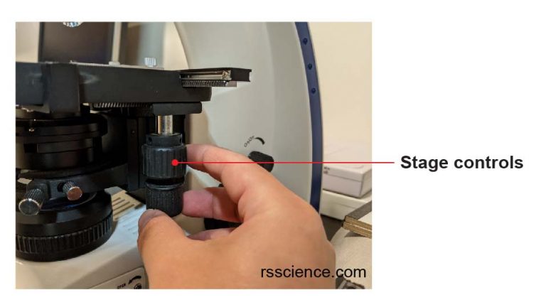Compound Microscope Parts – Labeled Diagram and their Functions - Rs ...