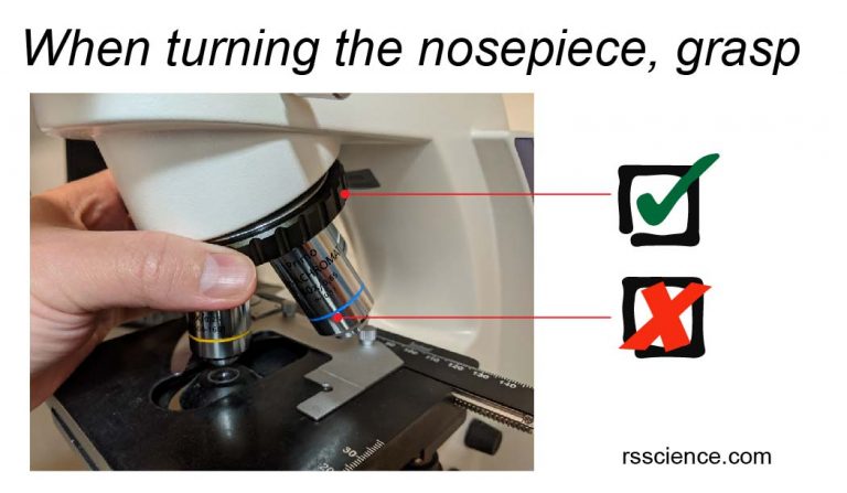 Compound Microscope Parts – Labeled Diagram and their Functions - Rs ...