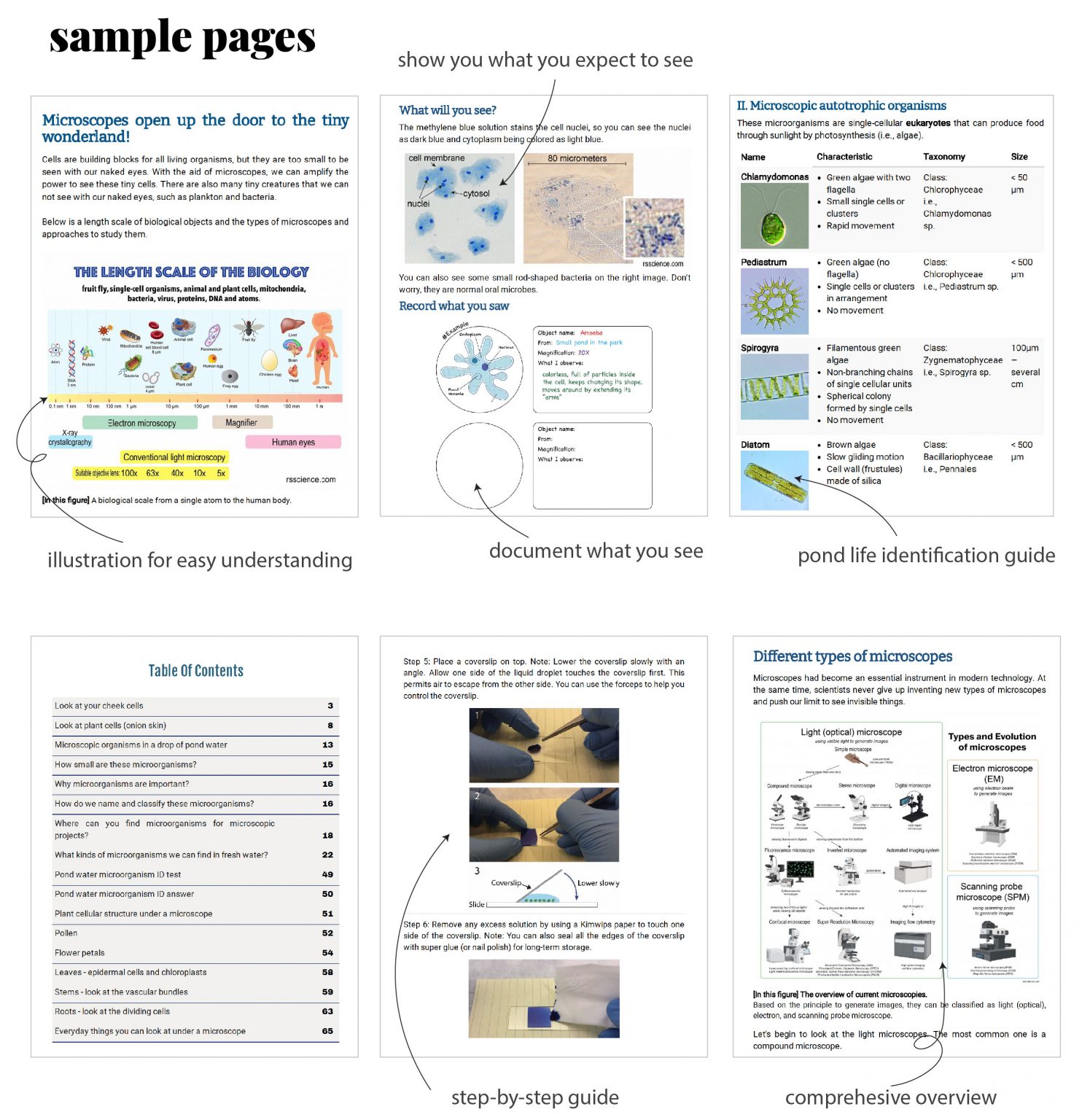 The Ultimate Guide to the Microscope - Rs' Science