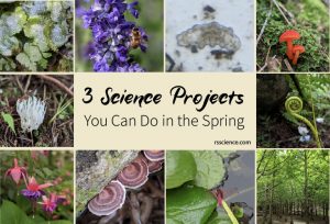 Blog posts list - Rs' Science