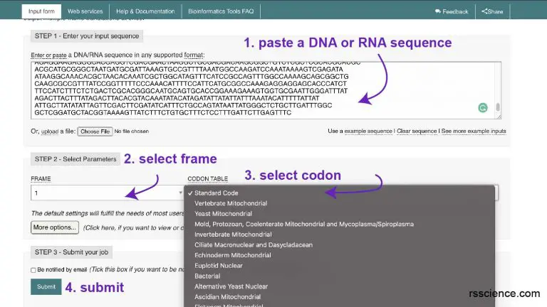 How to Read the Amino Acids Codon Chart? - Genetic Code and mRNA ...