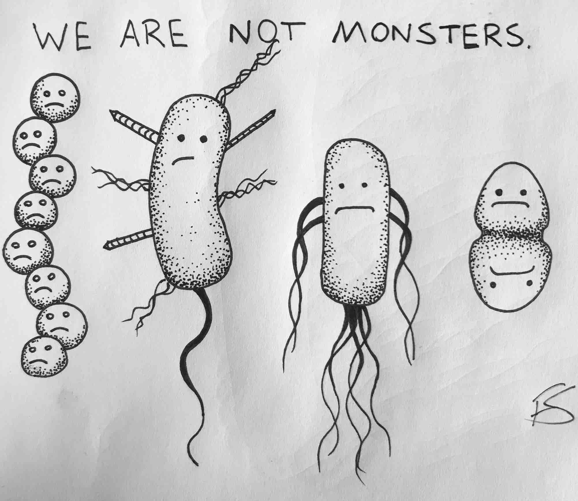 Bacteria - Definition, Structure, Types & Infections - Rs' Science