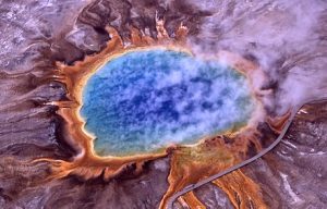 Archaea - Definition, Structure, Types & Extremophile Habitats - Rs ...