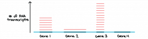 What is Transcription? – From DNA to RNA - Rs' Science