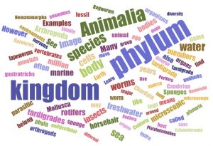 Blog posts list - Rs' Science