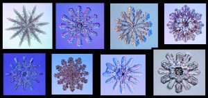 Look at snowflakes under the microscope - Rs' Science