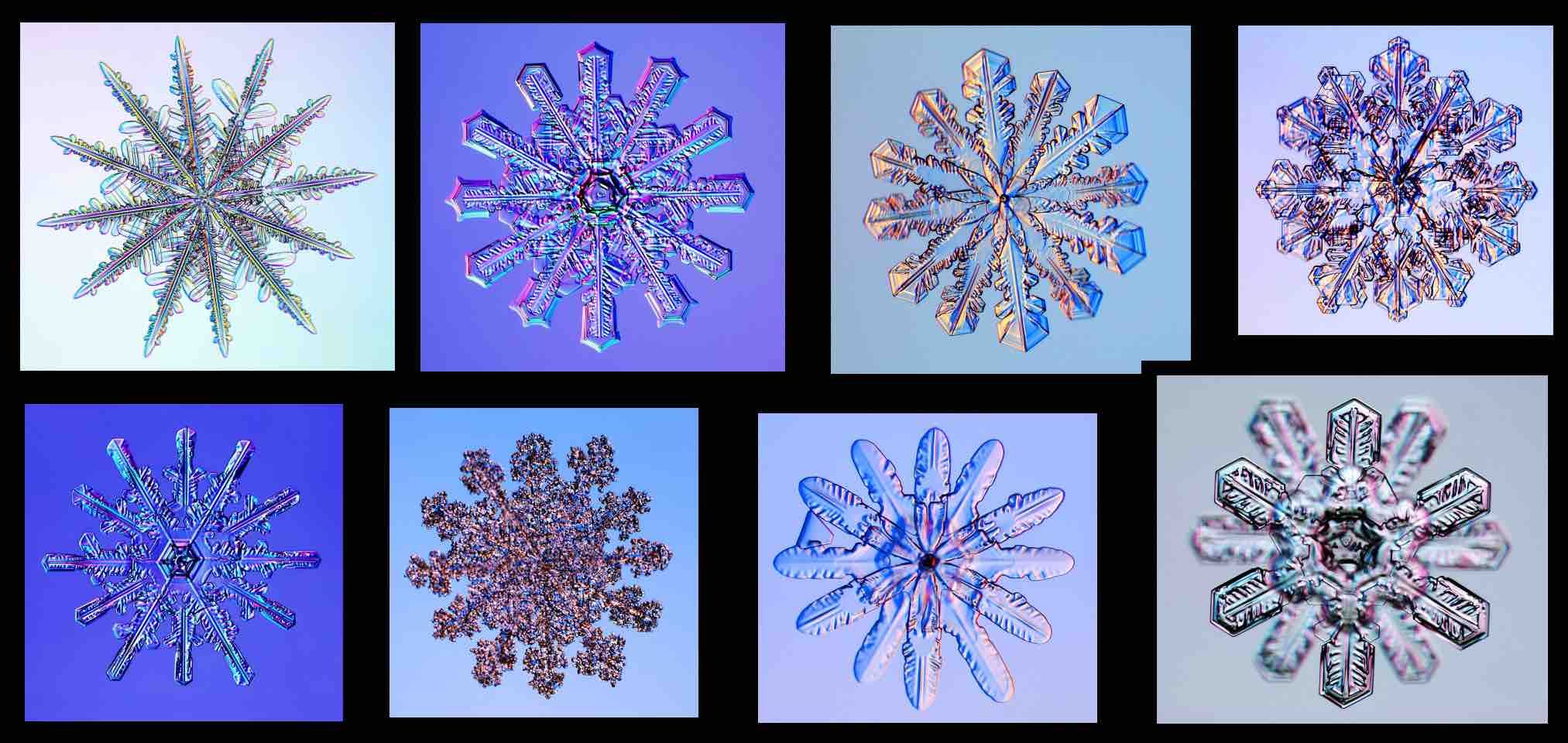 Look at snowflakes under the microscope - Rs' Science
