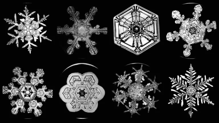 Look at snowflakes under the microscope - Rs' Science