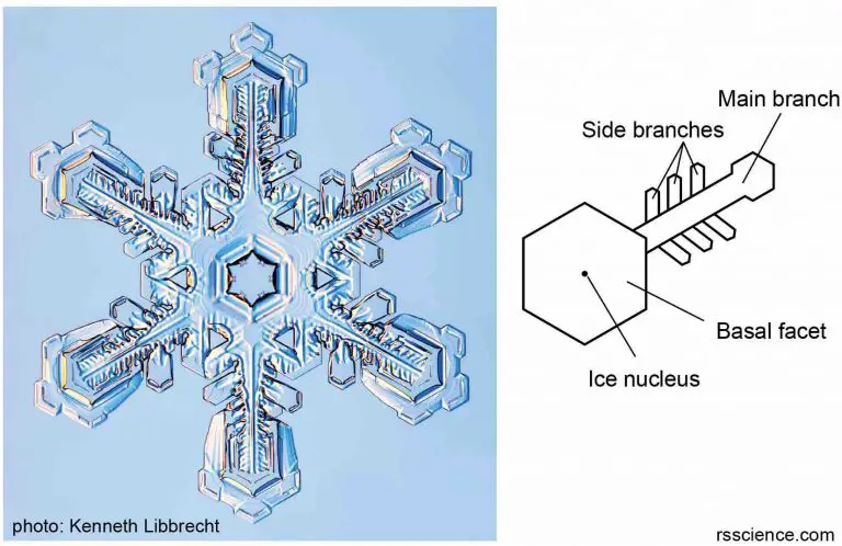 Look at snowflakes under the microscope - Rs' Science