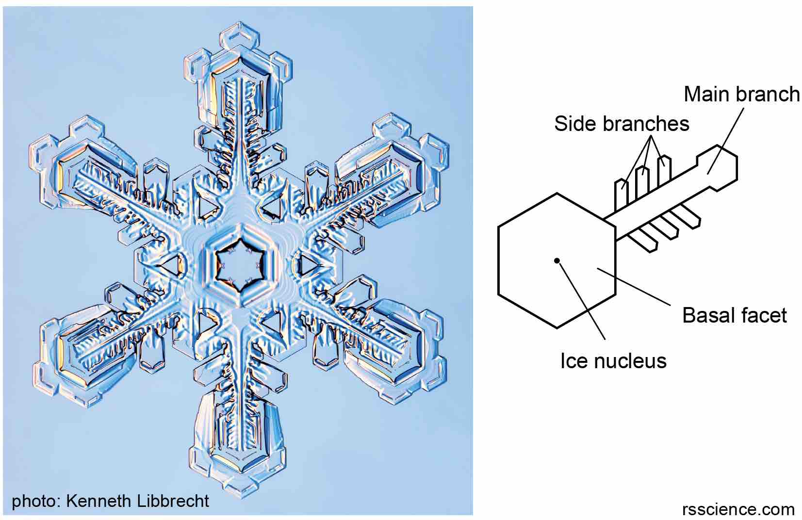 Look at snowflakes under the microscope - Rs' Science