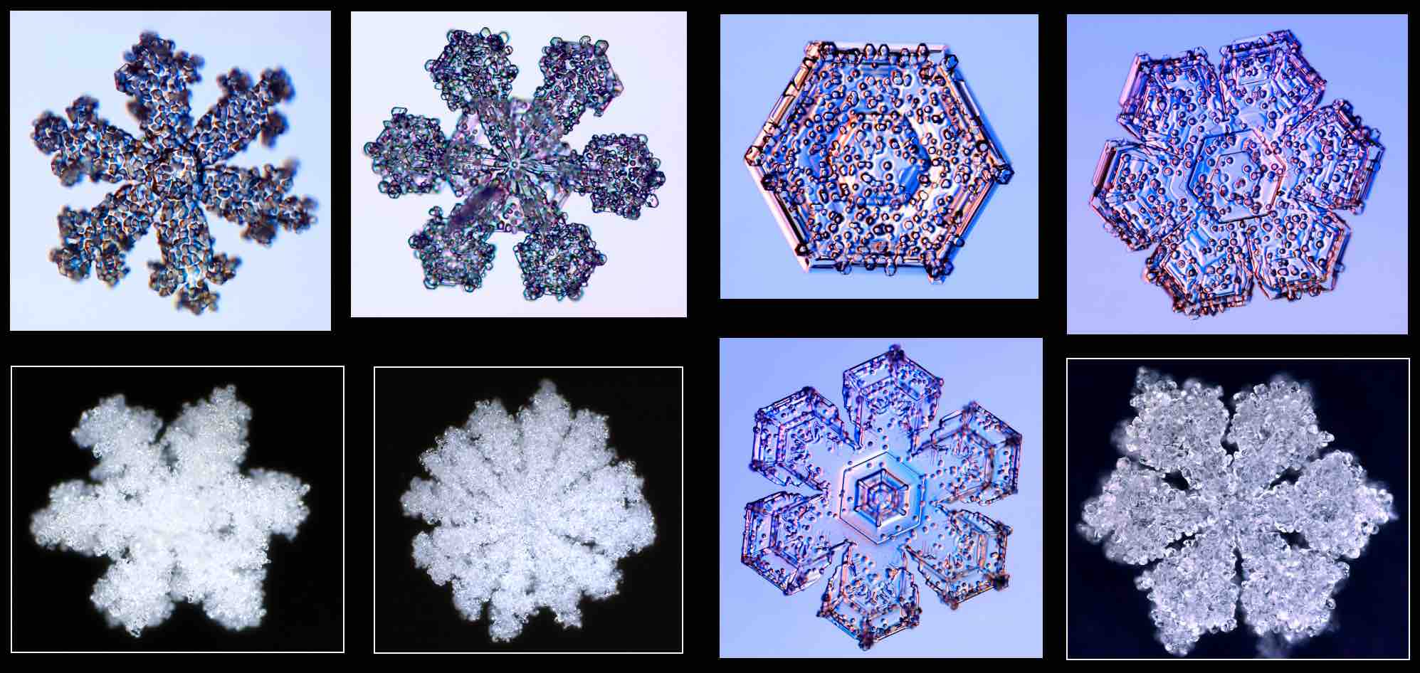 Look at snowflakes under the microscope - Rs' Science
