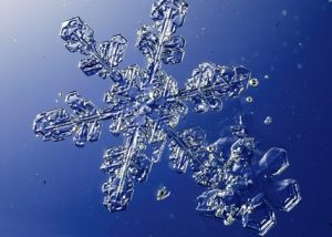 Look at snowflakes under the microscope - Rs' Science