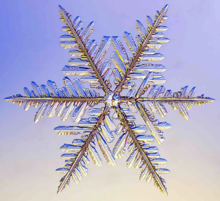 Look at snowflakes under the microscope - Rs' Science