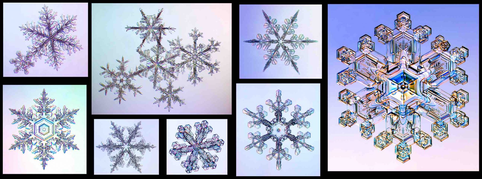 Look at snowflakes under the microscope - Rs' Science