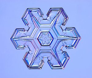 Look at snowflakes under the microscope - Rs' Science